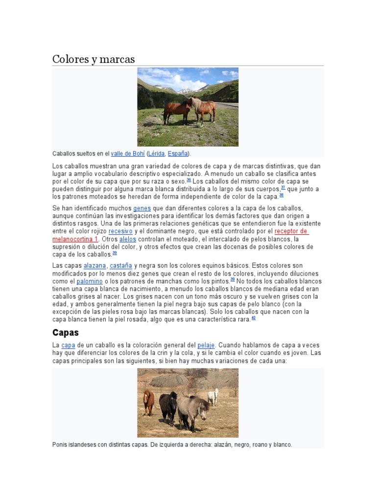 Colores y Marcas de Caballos | PDF | Caballos | Color