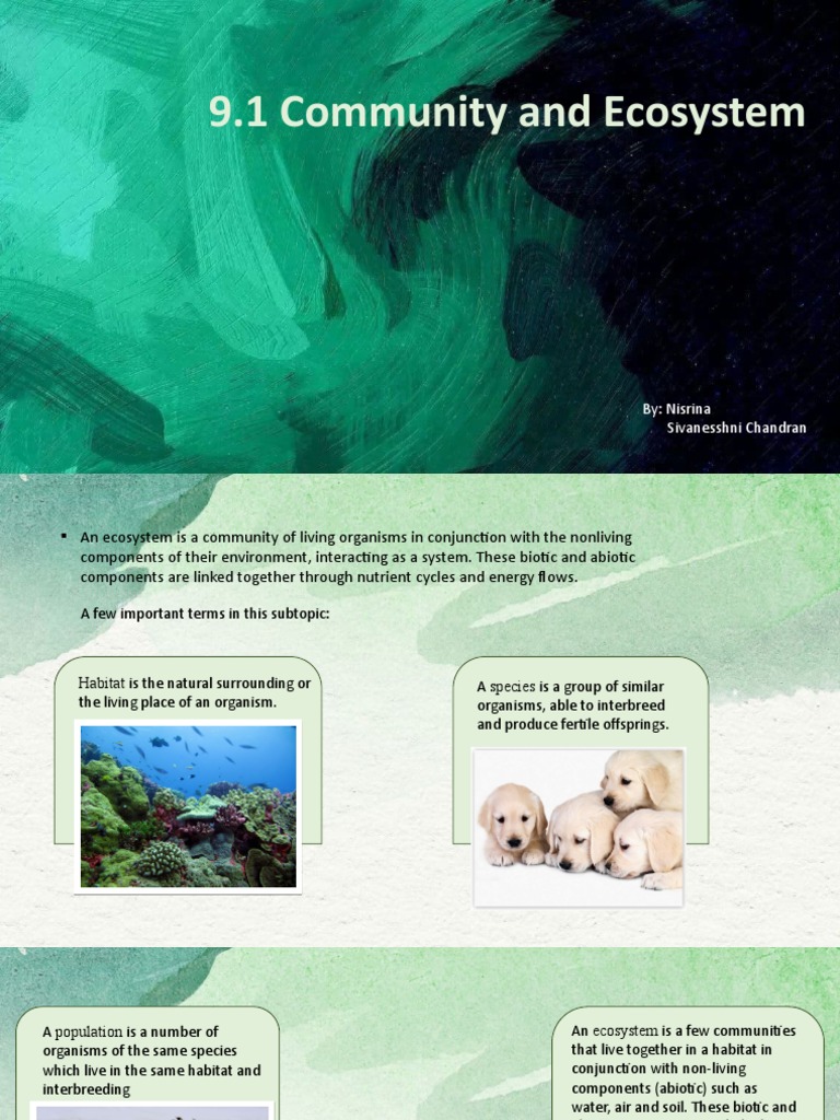 Bio Form 5 KSSM 9.1 | PDF