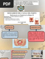 Maniobra de Ritgen | PDF | Parto | Reproducción