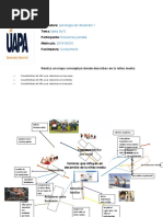 Cuadros Comparativos | PDF | Discapacidad intelectual | Síndrome de Down