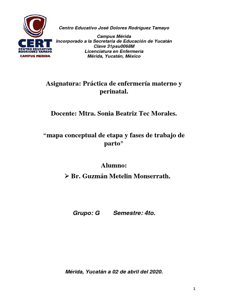 Etapas y Fases Del Parto | PDF | Parto | Salud pública