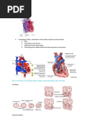 Risk For Diseases Cheat Sheet | PDF | Pneumonia | Sepsis