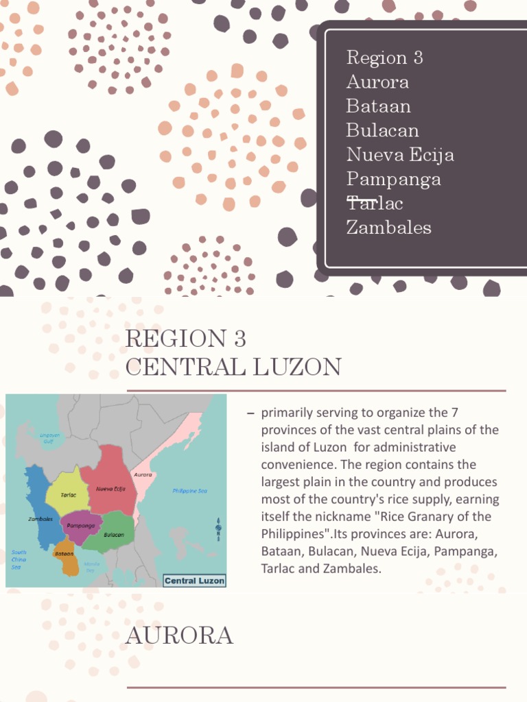 Region III - Central Luzon | PDF | Cooking | Foods