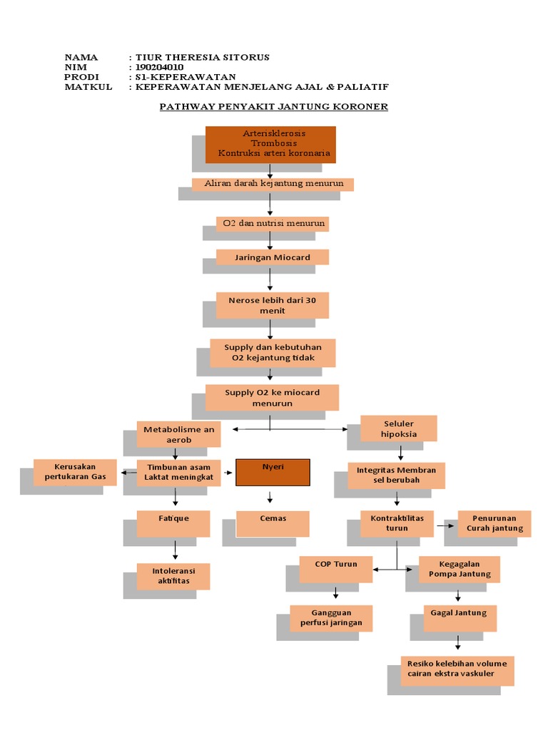 Pathway Penyakit Kronis Jantung Koroner Tiur | PDF