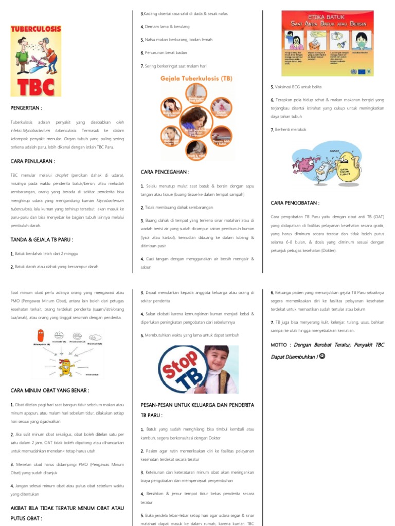 Leaflet TB Paru | PDF | Sains & Matematika