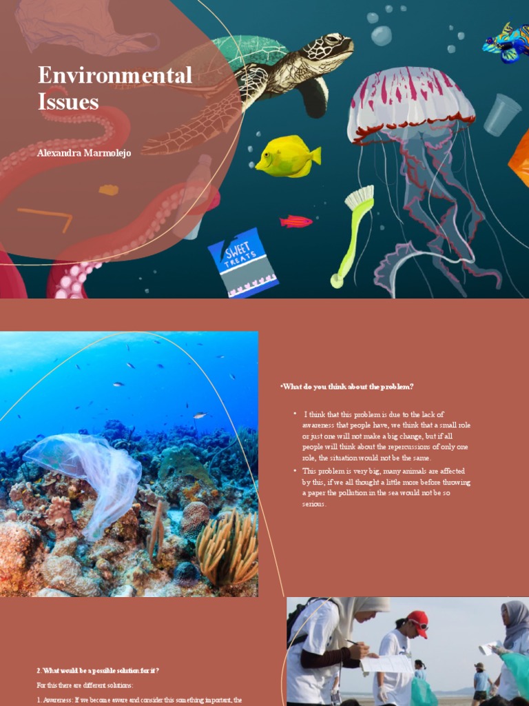 Environmental Issues | PDF