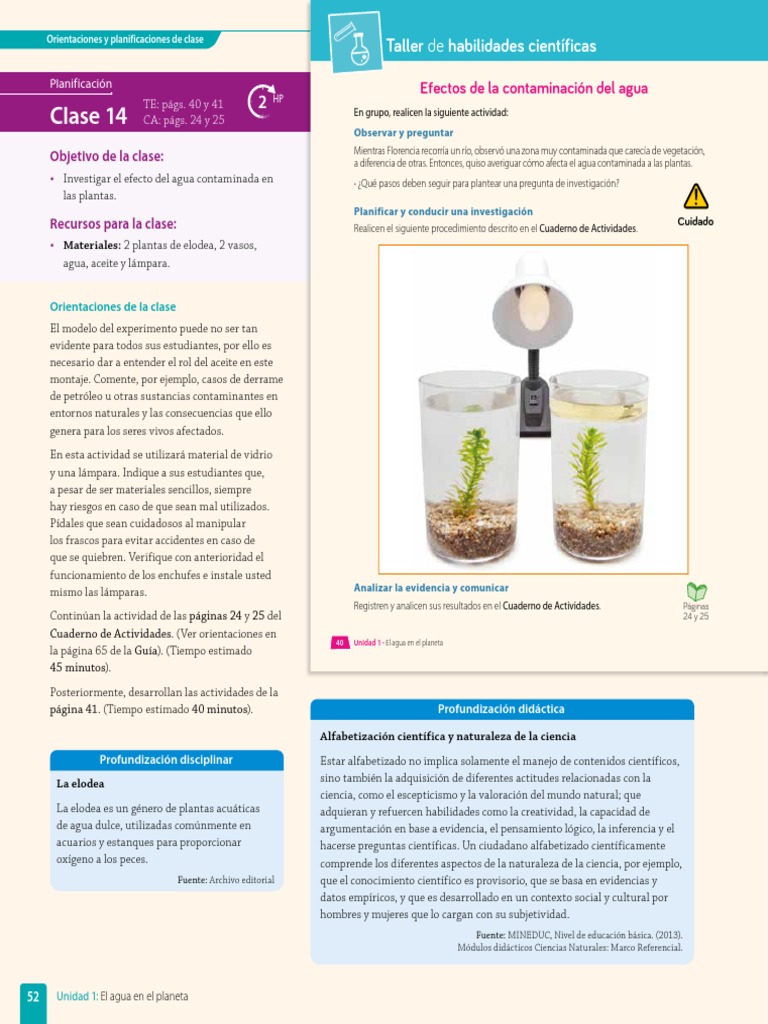Efectos del Agua Contaminada en Plantas | PDF | Contaminación | La ...