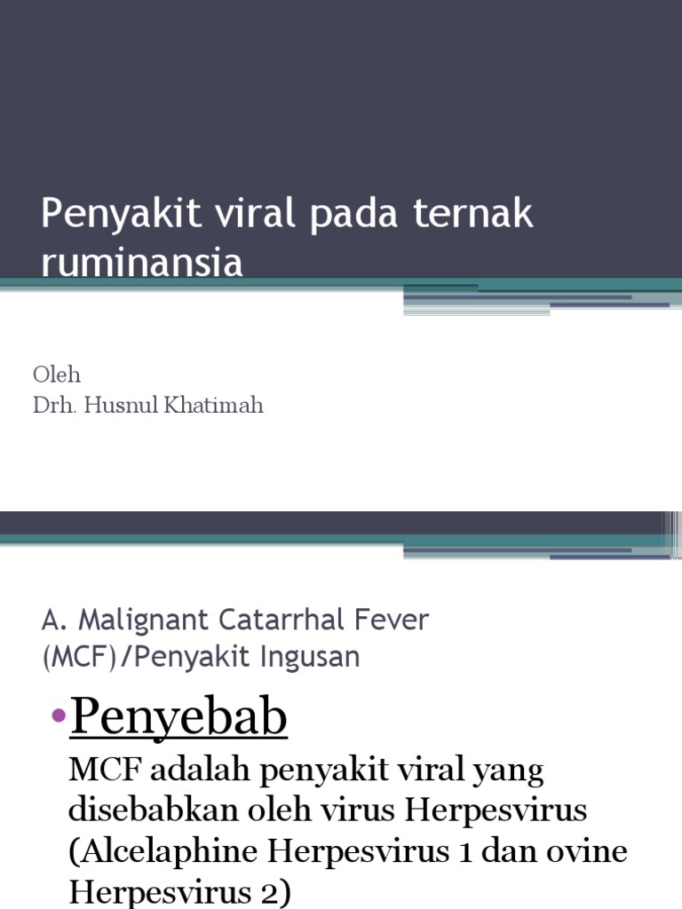 Penyakit Viral pada Ruminansia | PDF