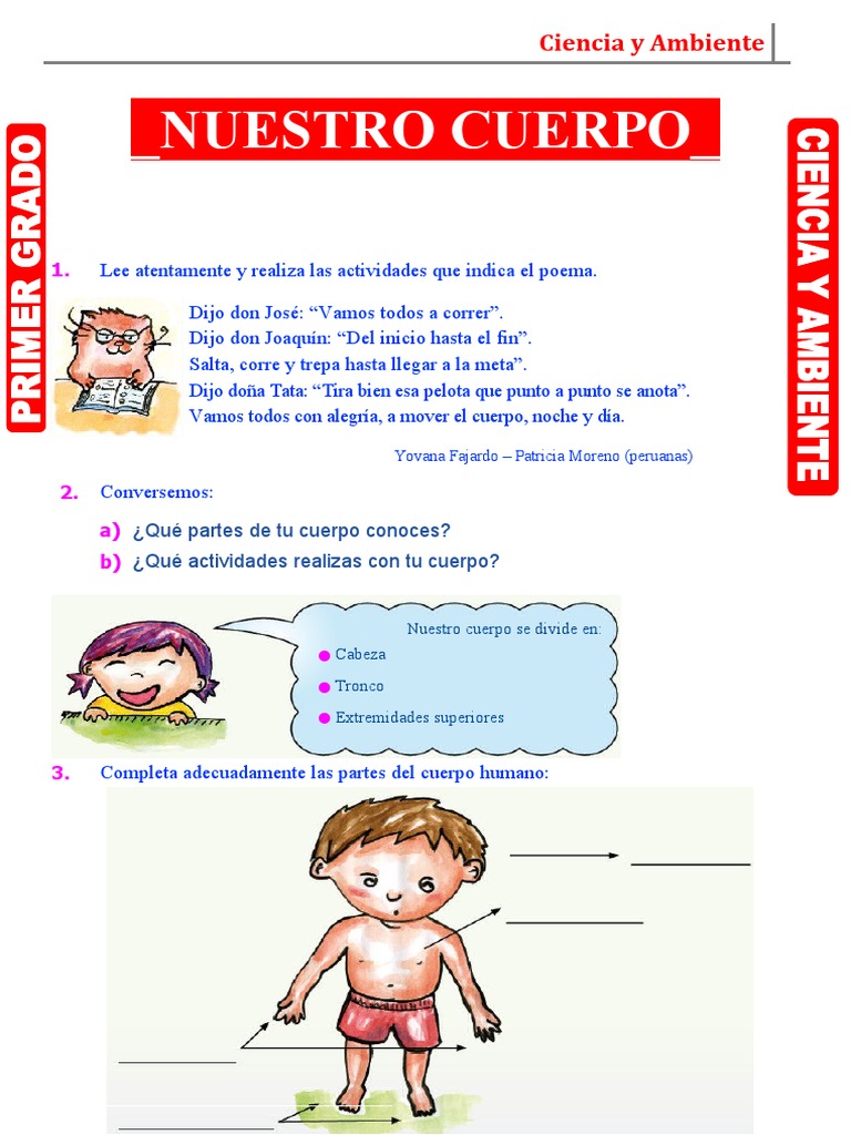 Nuestro Cuerpo para Primer Grado de Primaria | PDF