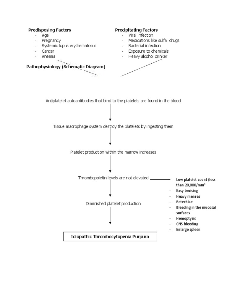 Idiopathic Thrombocytopenic Purpura Diagram