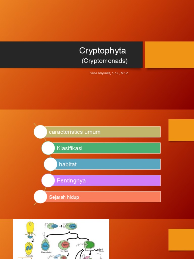 Protista Cryptophyta | PDF | Griya & Taman | Kesehatan Holistik