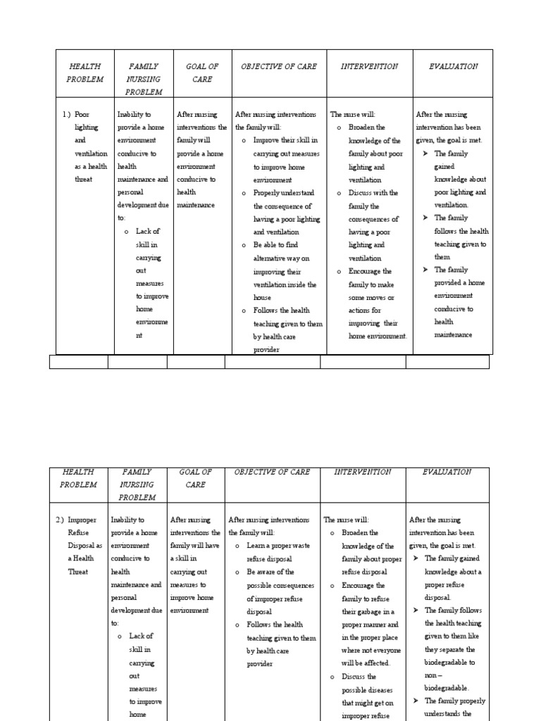 Nursing Care Plan | PDF | Nursing | Health Sciences
