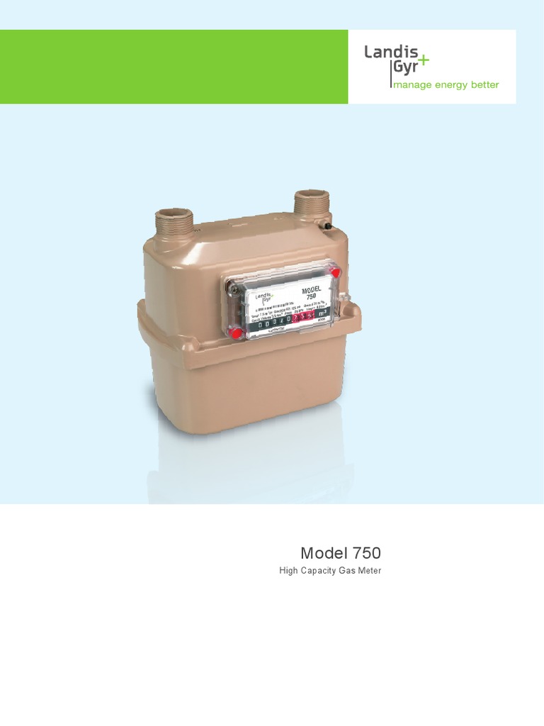 Model 750: High Capacity Gas Meter | PDF | Flow Measurement | Gases