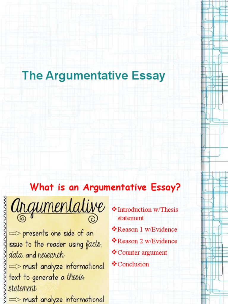 Argumentative Essay | PDF | Dolphin | Marine Mammals