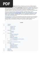 Long Lot Survey System in Geography | PDF