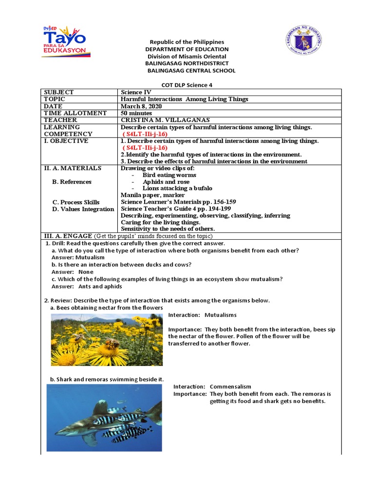 Cot - DLP - Science - 4 - by - Teacher - Cristina M. Villaganas | PDF | Parasitism | Predation