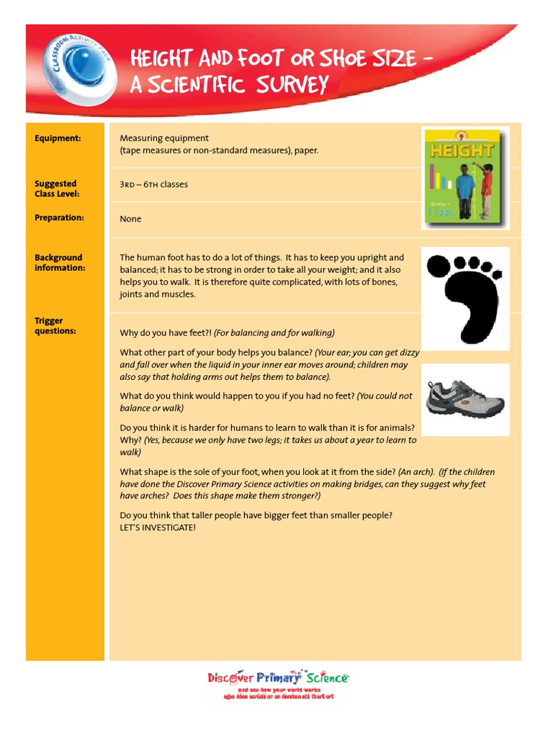 Height and Shoe Size Investigation | PDF | Foot | Shoe