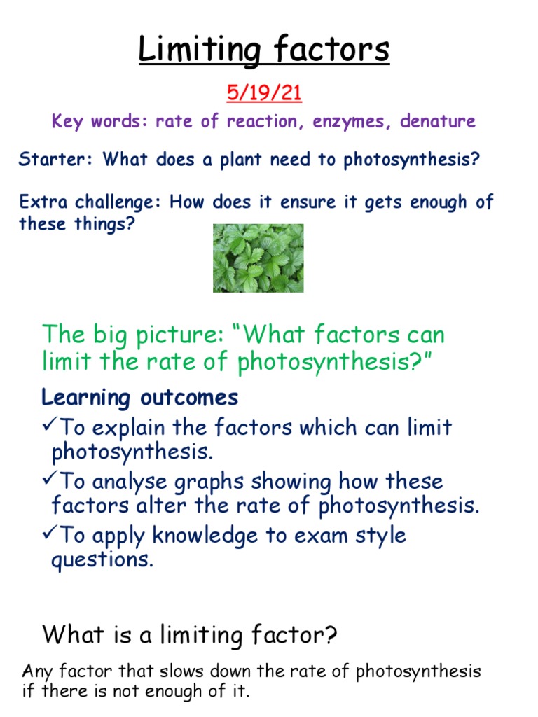 MYP5 Limiting-Factors and Practice Exam Questions | PDF ...