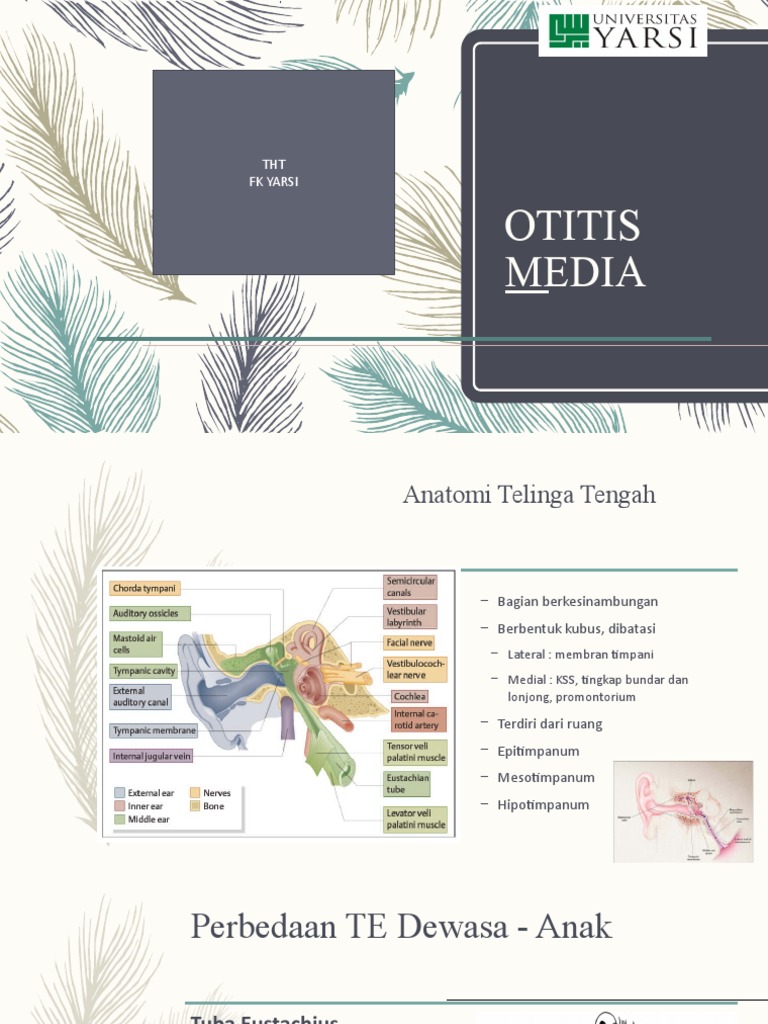 9.5. Otitis Media PPT Besok | PDF | Sains & Matematika