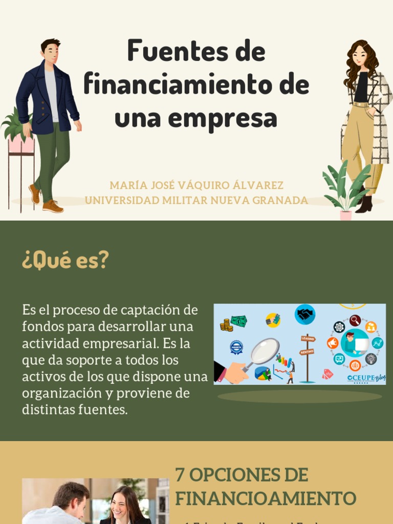Fuentes De Financiamiento De Una Empresa Pdf Capital De Riesgo