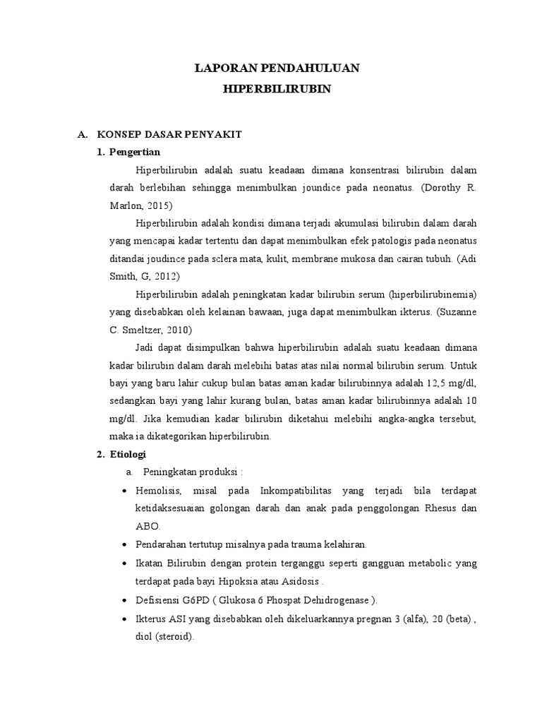 Fix LP Hiperbilirubin | PDF