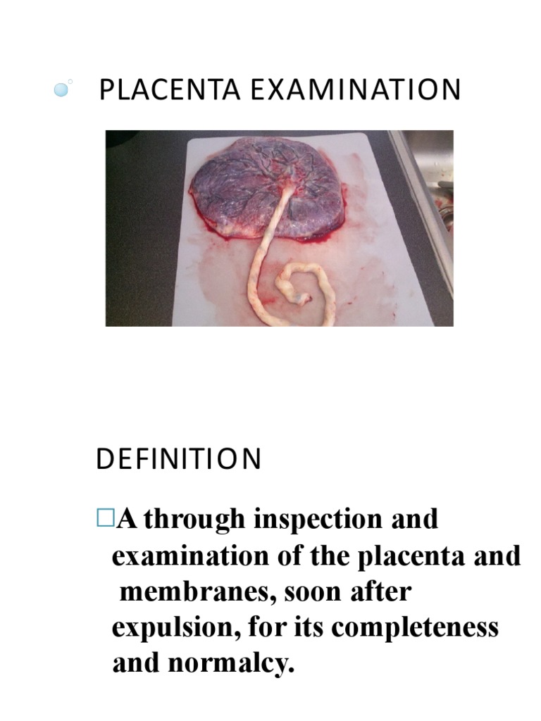 Placenta Examination Procedures and Purpose | PDF | Placenta | Fetus