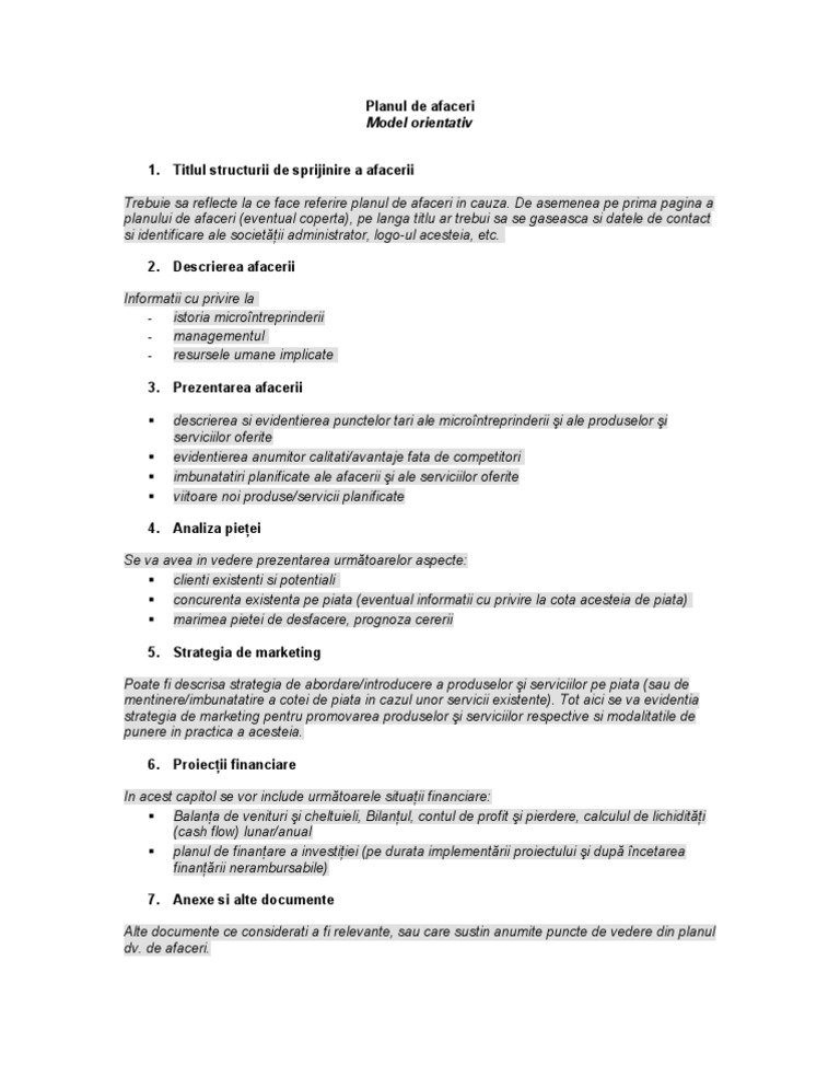 Plan de Afaceri Model Fonduri Structurale | PDF