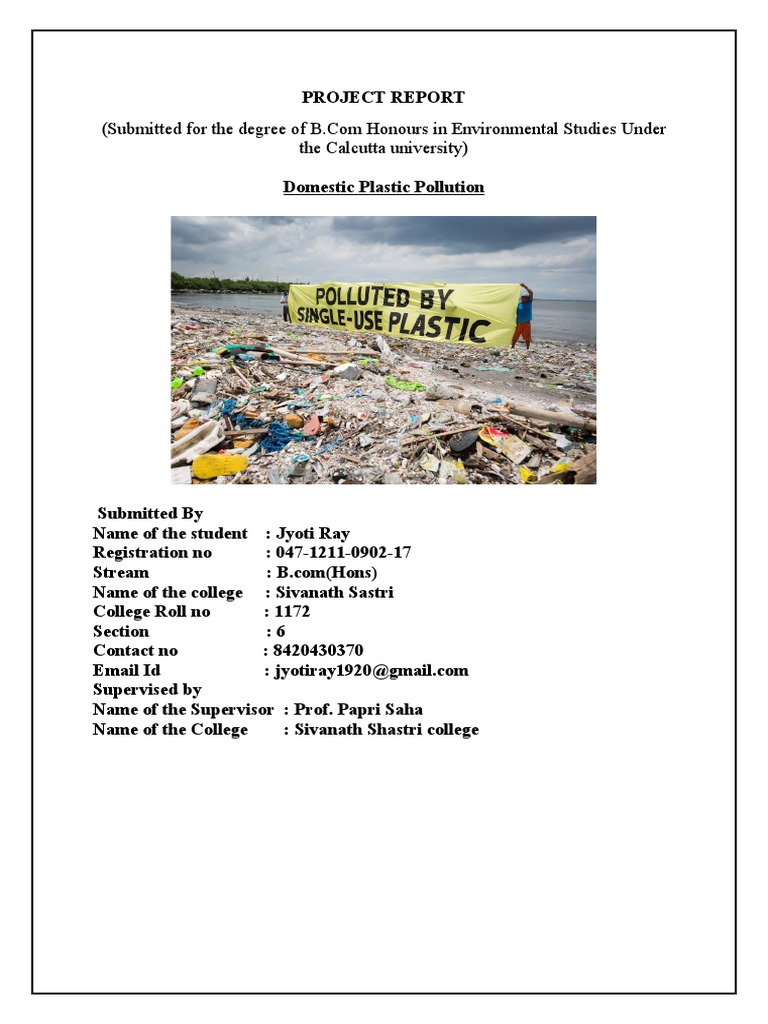 Domestic Plastic Pollution Report | PDF | Plastic | Polystyrene