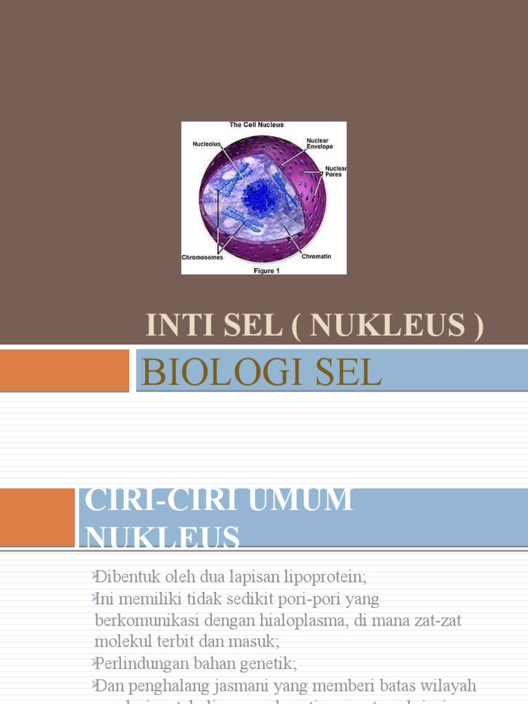 BIOSEL | PDF