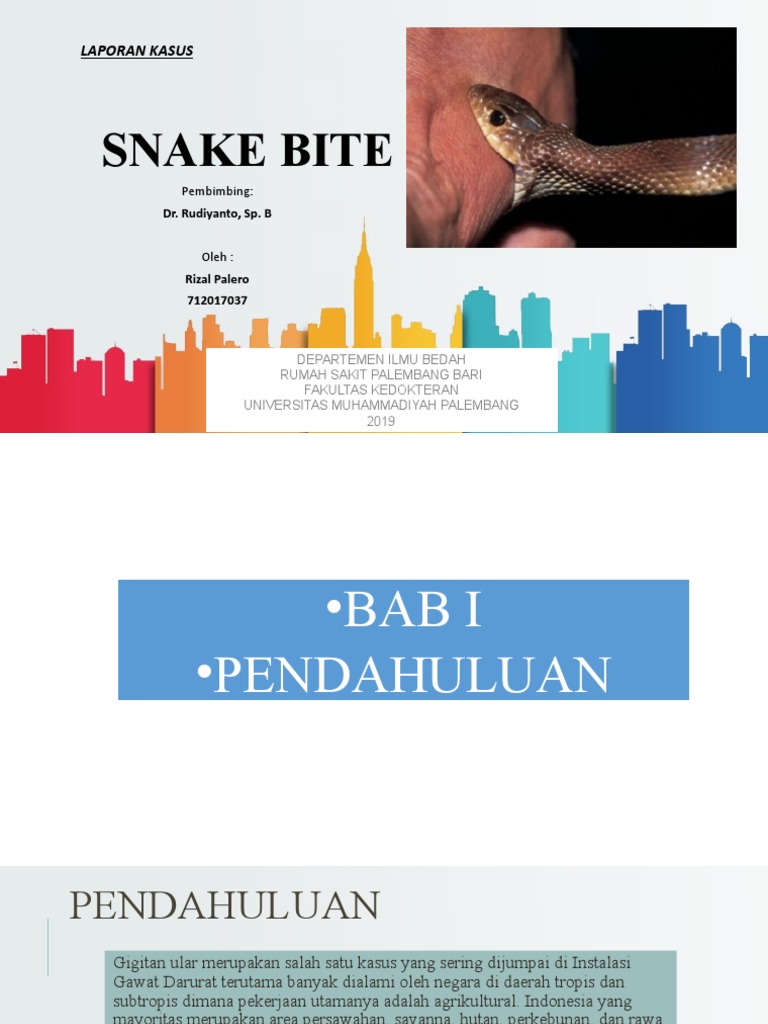 LAPSUS SNAKE BITE RSUD BARI Fix | PDF | Kesehatan Holistik
