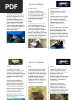 La Fauna de Michoacan | PDF | Mamíferos | Zoología