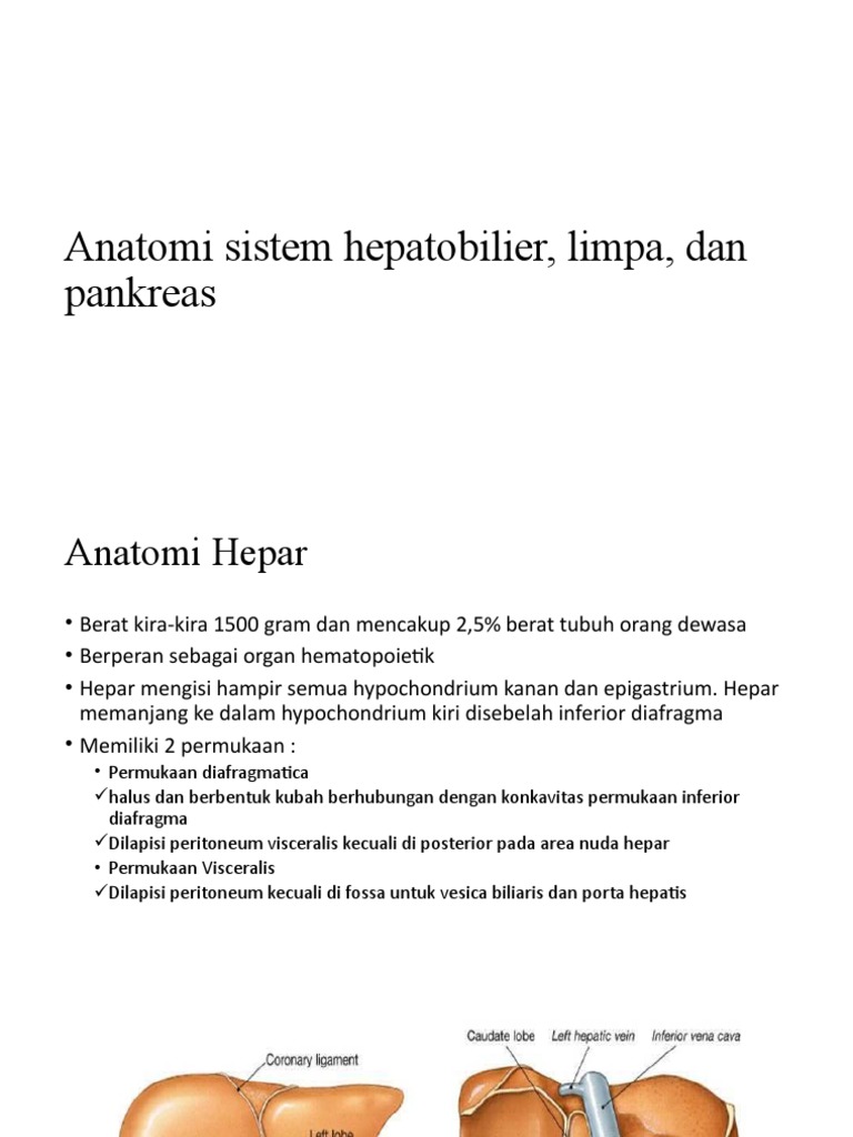 Anatomi Sistem Hepatobilier, Limpa, Dan Pankreas | PDF | Kesehatan ...