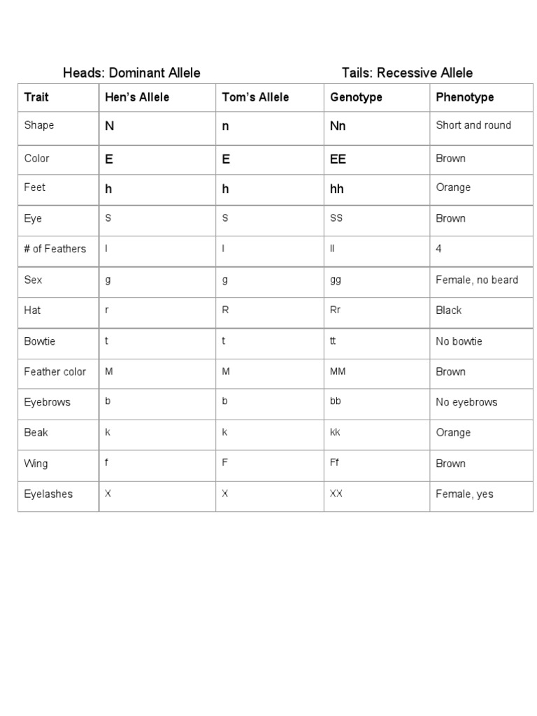Turkey Genetics and Phenotypes Guide | PDF