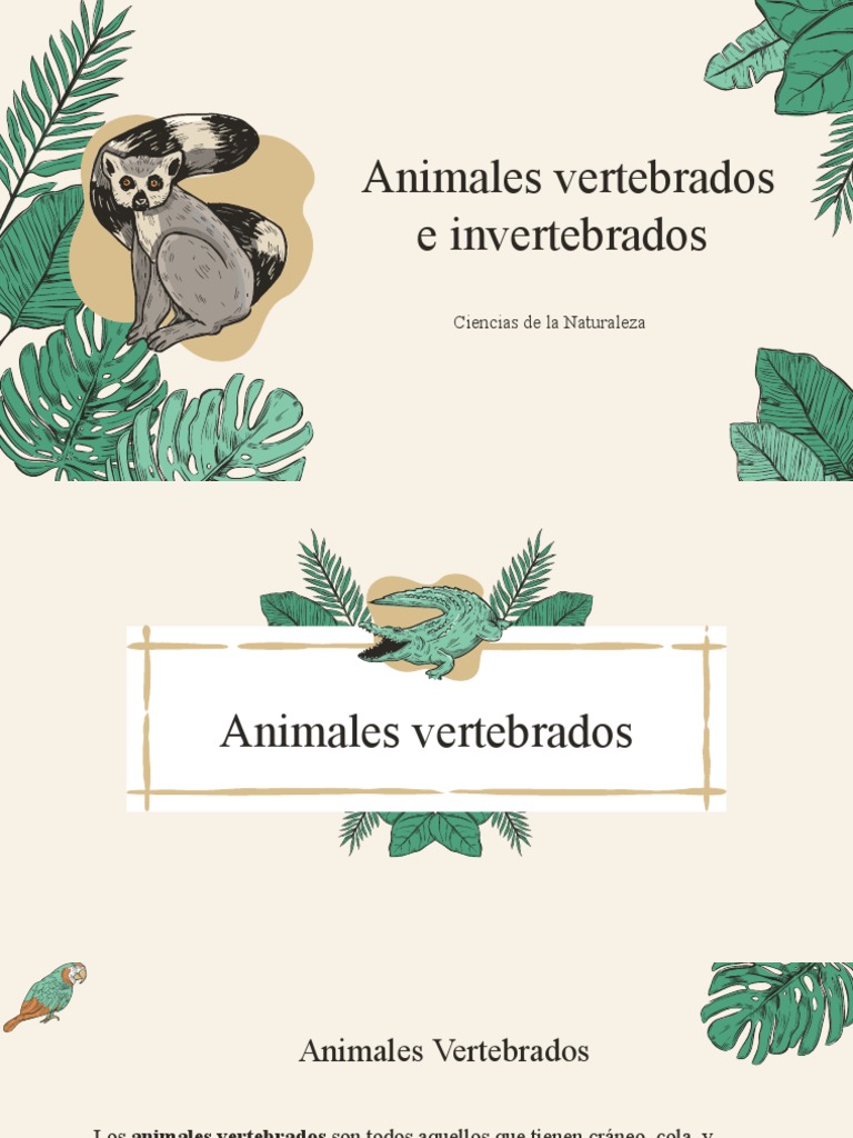 Álbum de Animales Vertebrados e Invertebrados | PDF | Vertebrados ...