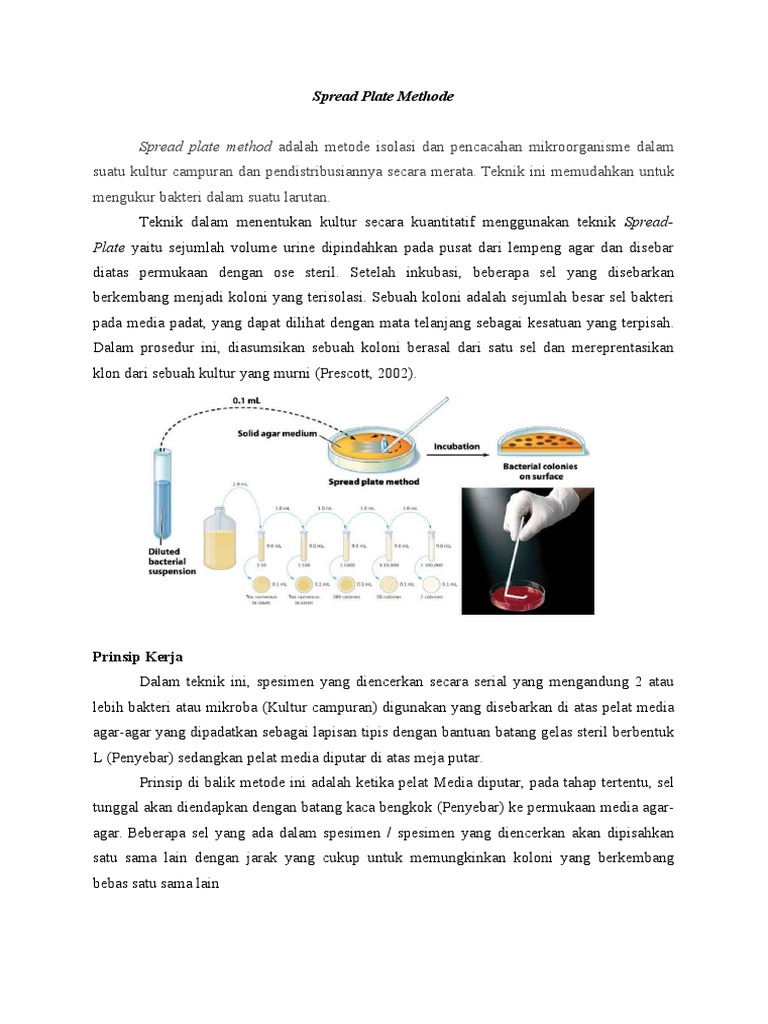 Spread Plate Methode | PDF