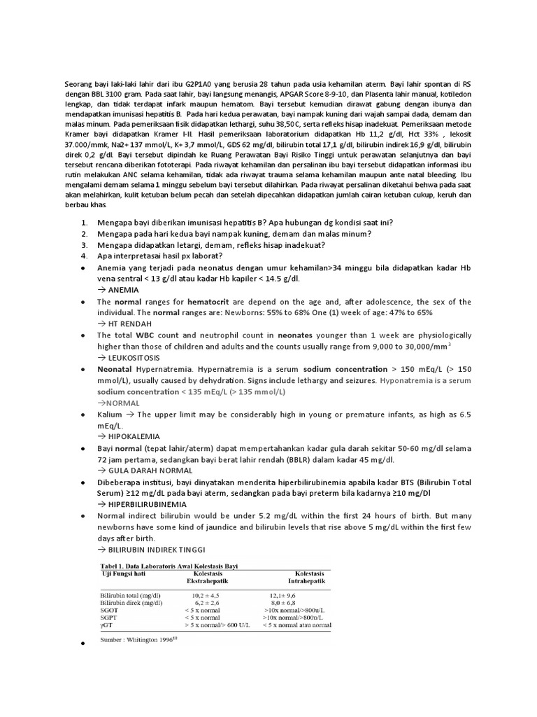 SGD LBM 2 Ikterik Neonatus | PDF