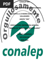 Mapa Conceptual CONAMED | PDF | Derecho