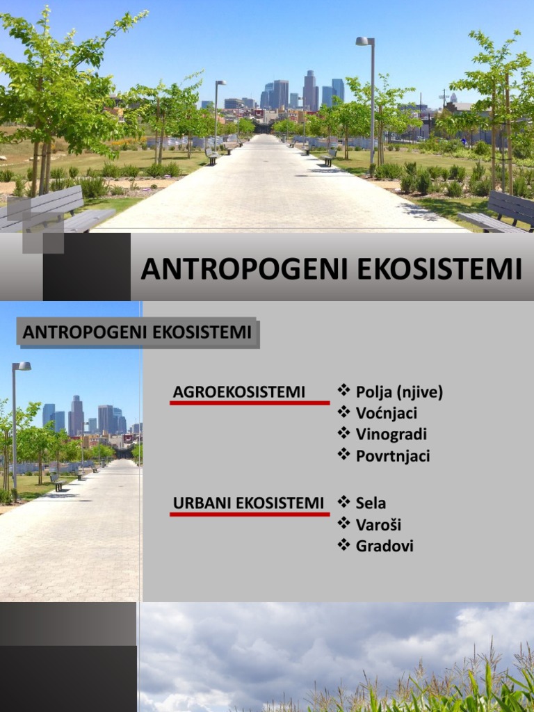 Antropogeni i urbani ekosistemi | PDF | Science & Mathematics