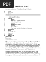 Insect Research Report Template | PDF
