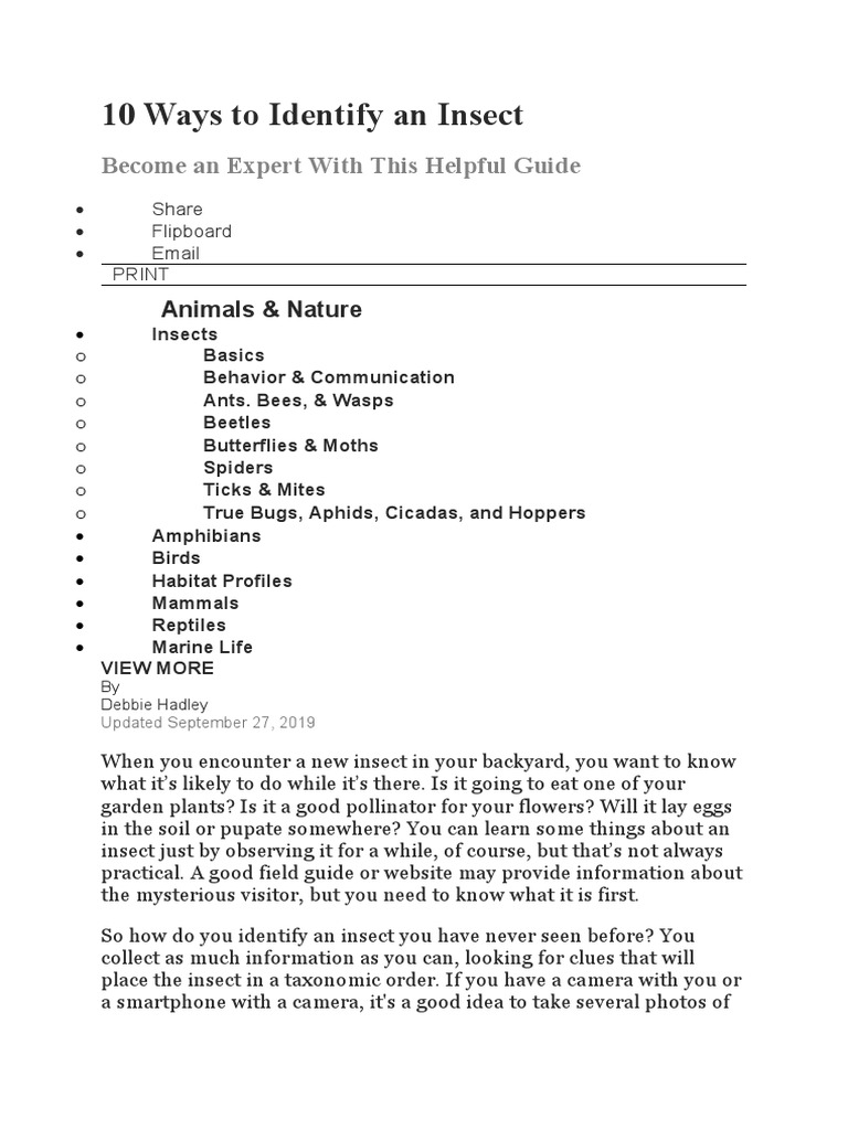 10 Ways To Identify An Insect | PDF | Insects | Lepidoptera