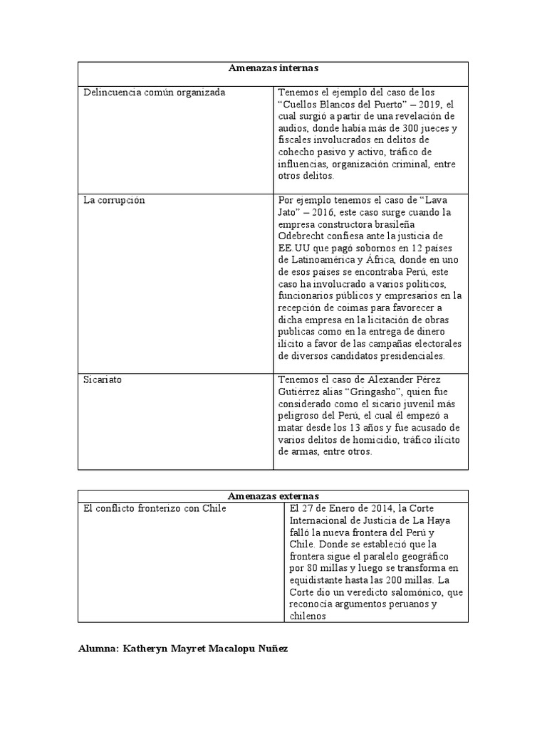 Amenazas Internas y Externas - Katheryn Mayret Macalopu Nuñez | PDF ...