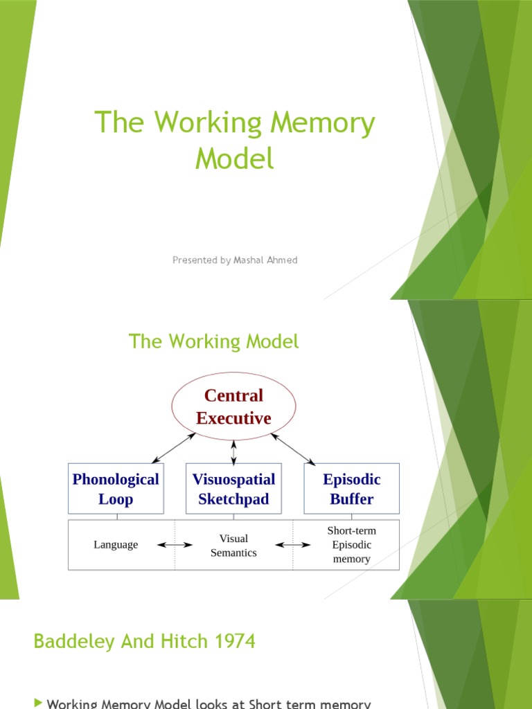 The Working Memory Model | PDF