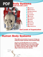 Human Body Systems PDF | PDF | Lymphatic System | Heart Valve