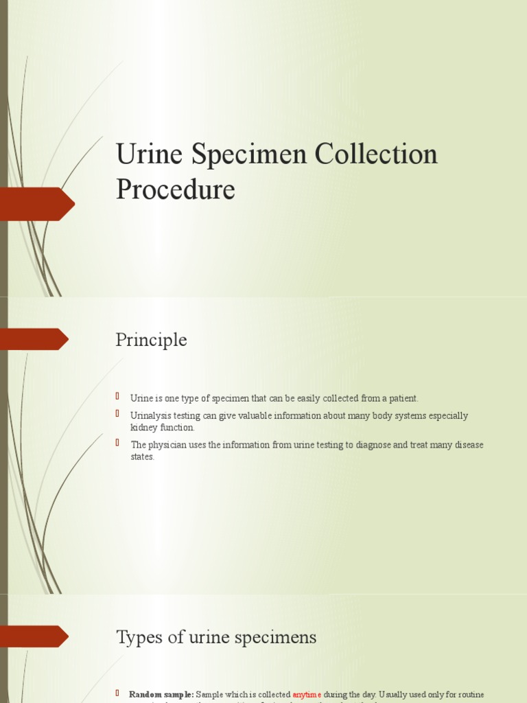 Urine & Stool Collection Guide | PDF | Urine | Feces