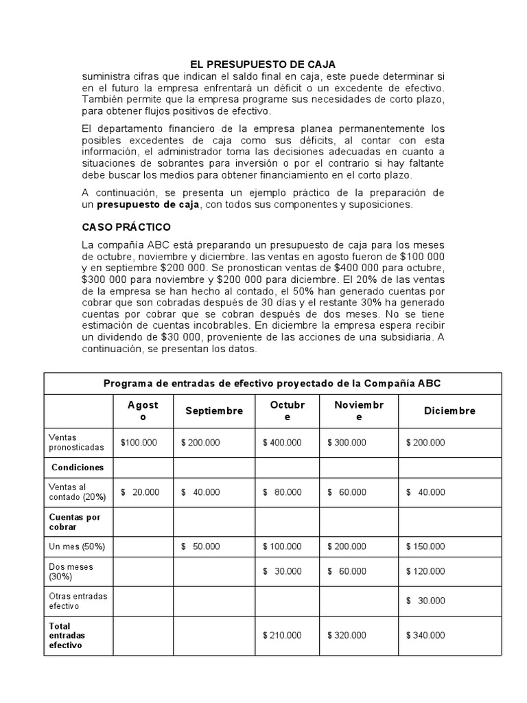 Caso Práctico Flujo de Caja | PDF | Presupuesto | Economias