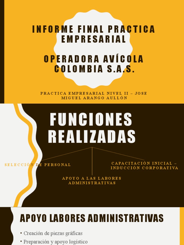 Operadora Avícola Colombia Informe Final | PDF | Informática | Business