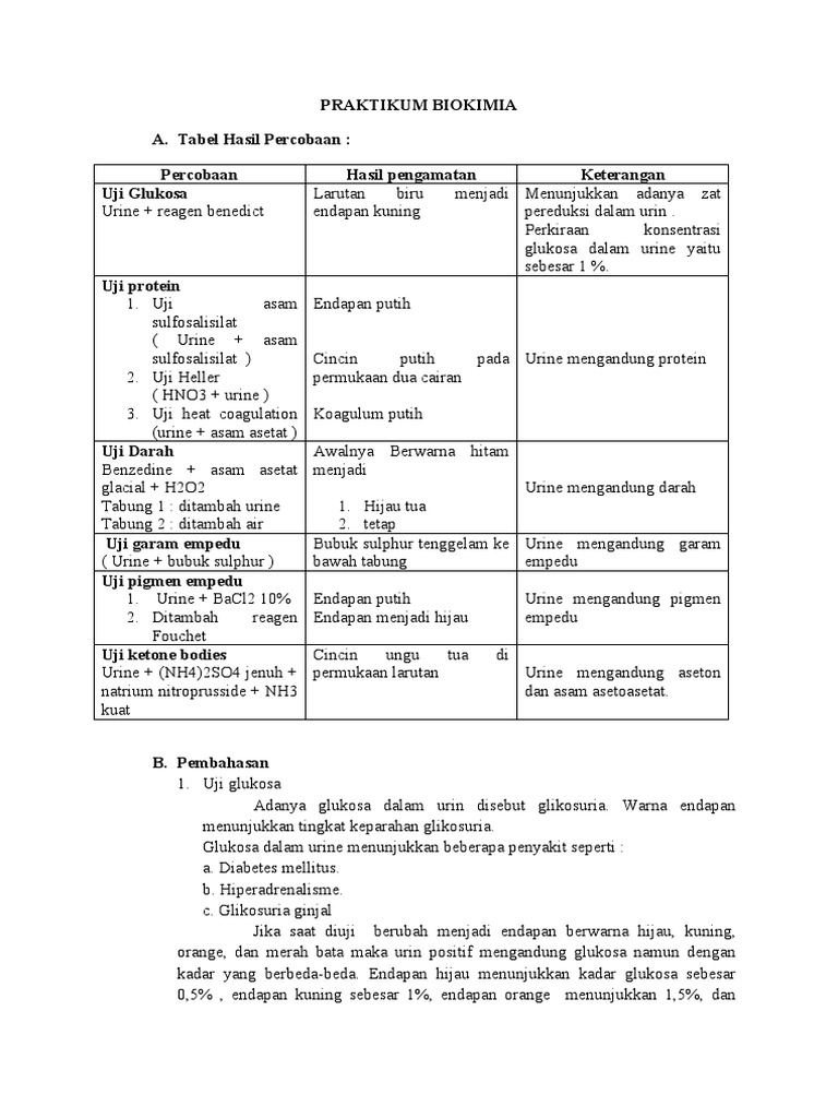 Pembahasan Uji Urine | PDF
