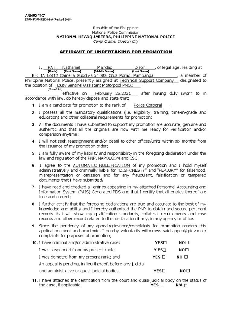 AFFIDAVIT of Undertaking Revised 2018 19 | PDF | Affidavit | Common Law