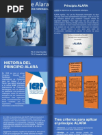 Principio de Alara | PDF | Radiología | Medicina