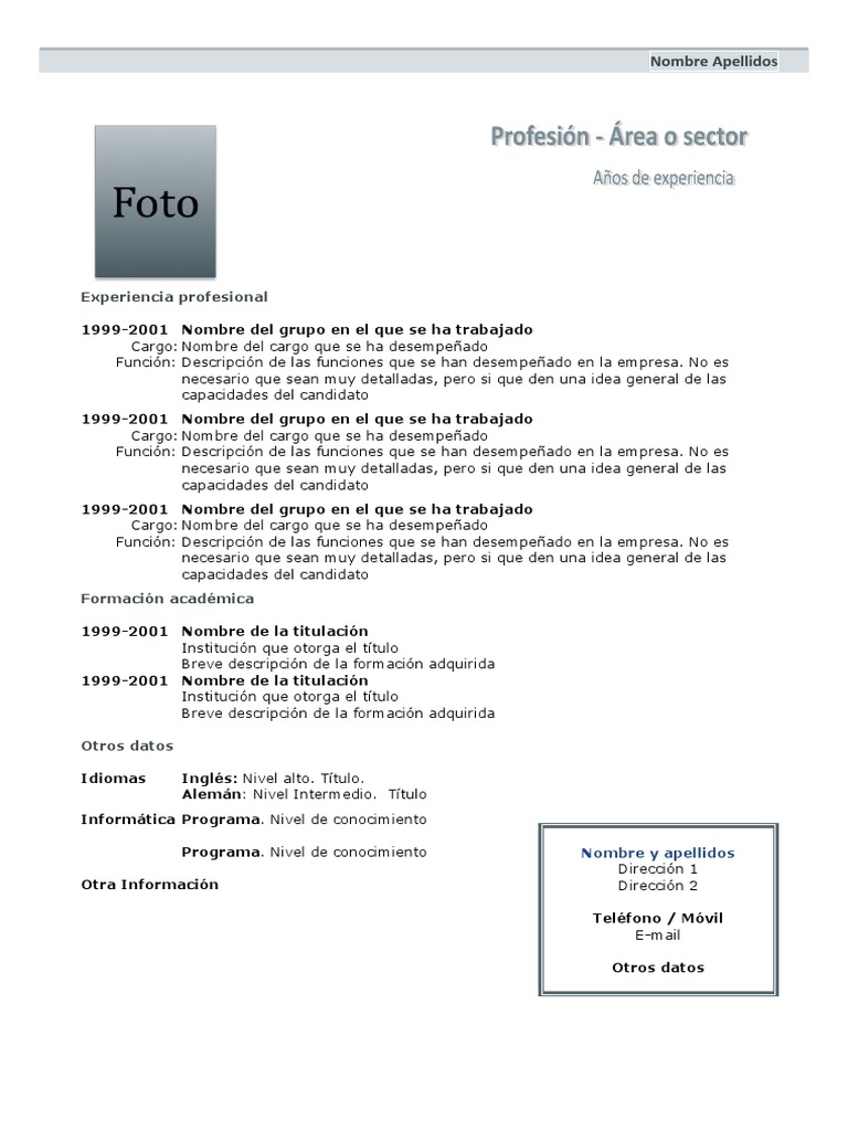 Formato Hoja de Vida en Word - 024 | PDF
